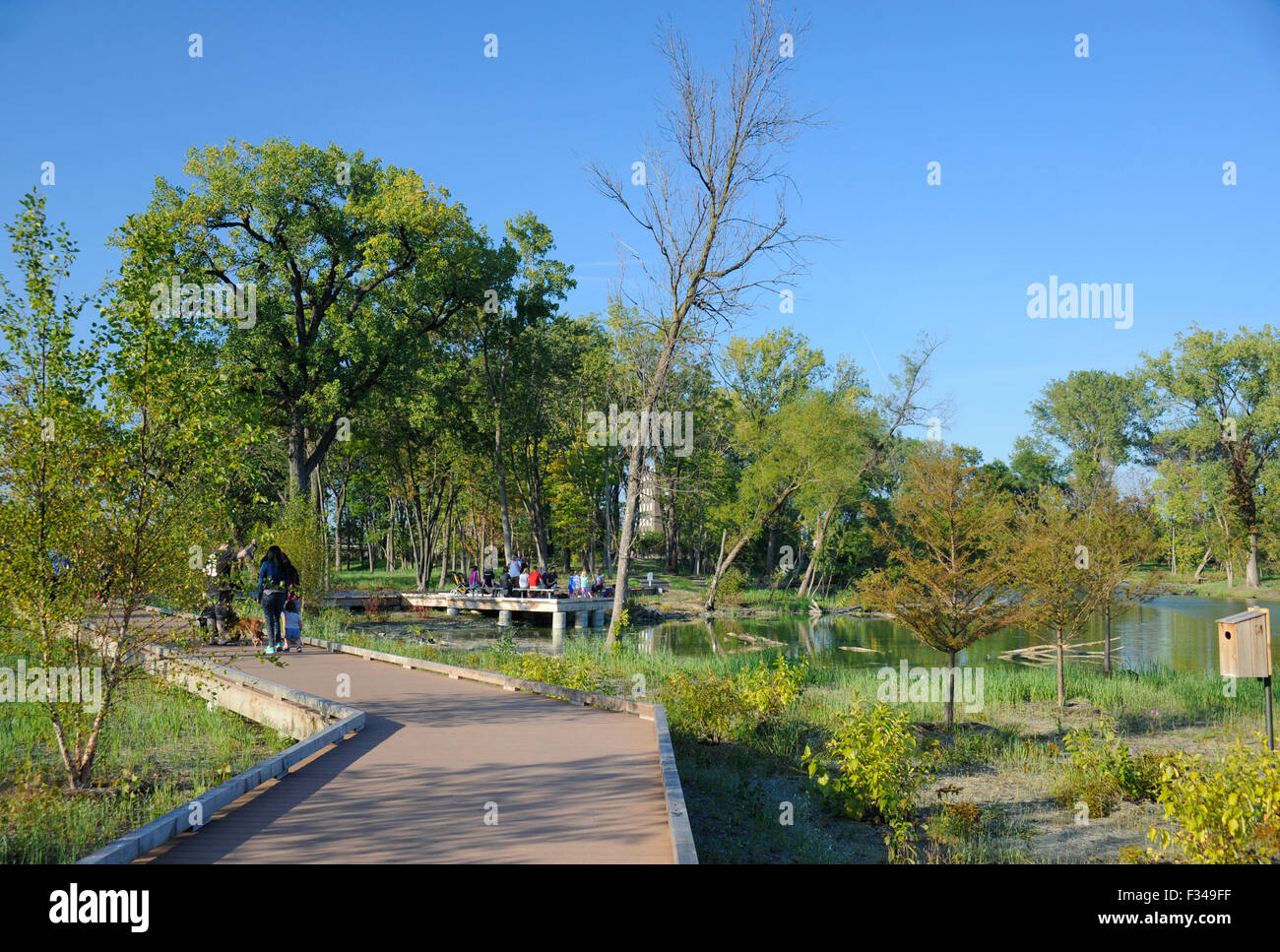West Ridge Nature Preserve in the West Rogers Park neighborhood ...