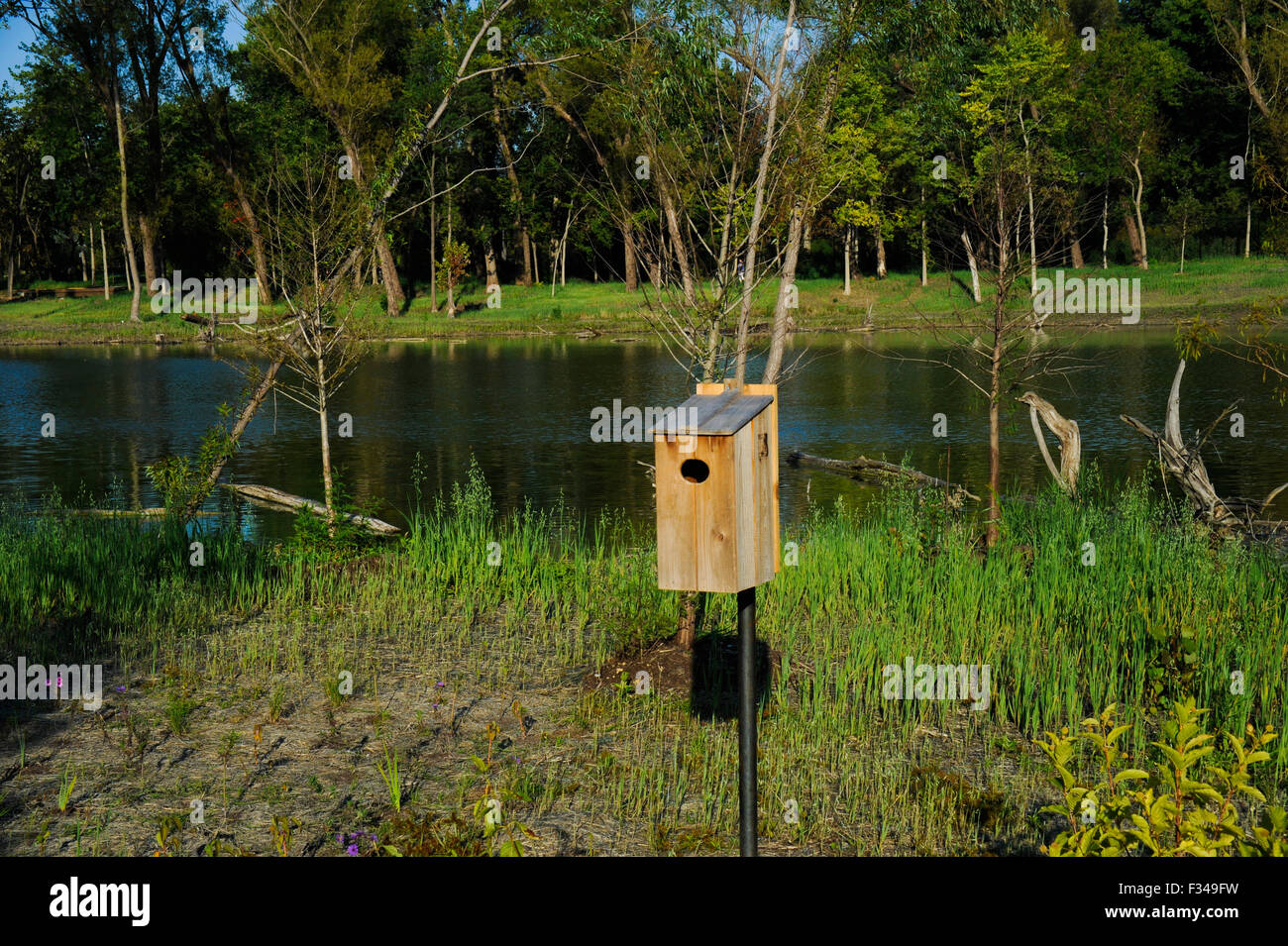 West Ridge Nature Preserve in the West Rogers Park neighborhood ...