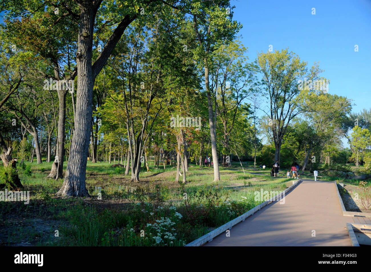 West Ridge Nature Preserve in the West Rogers Park neighborhood ...