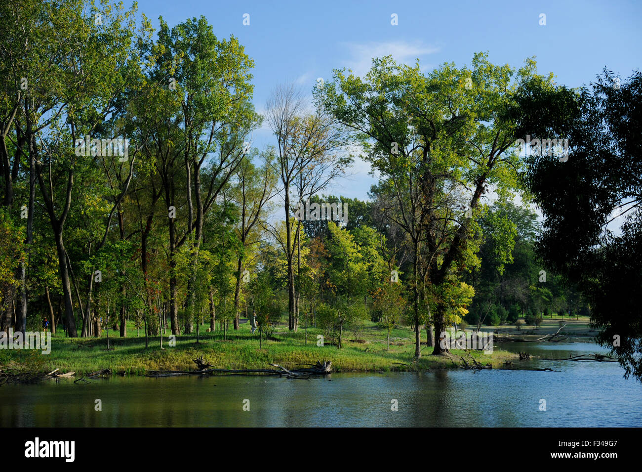 West Ridge Nature Preserve in the West Rogers Park neighborhood ...