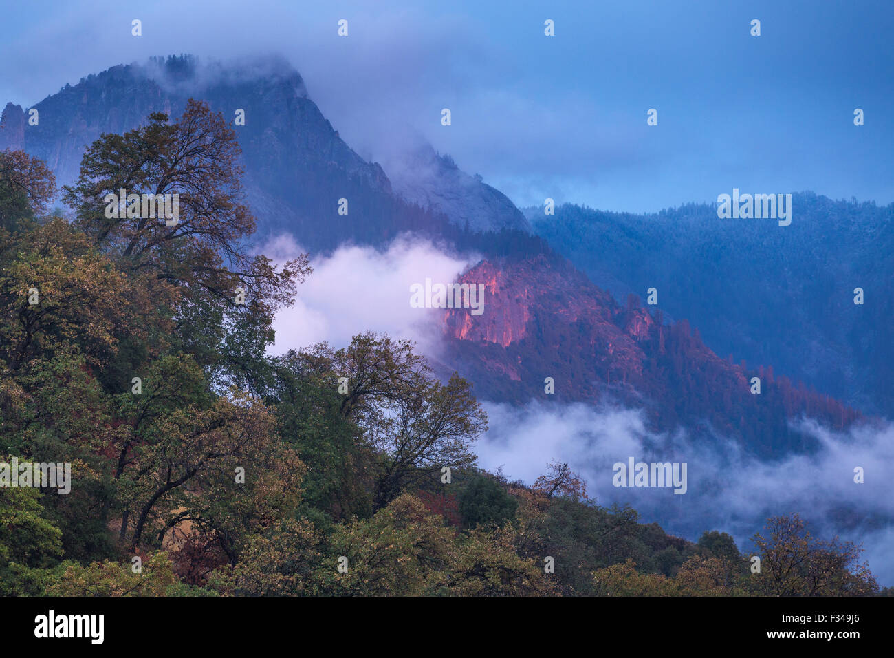 the Kaweah Valley, Sequoia National Park, California, USA Stock Photo ...