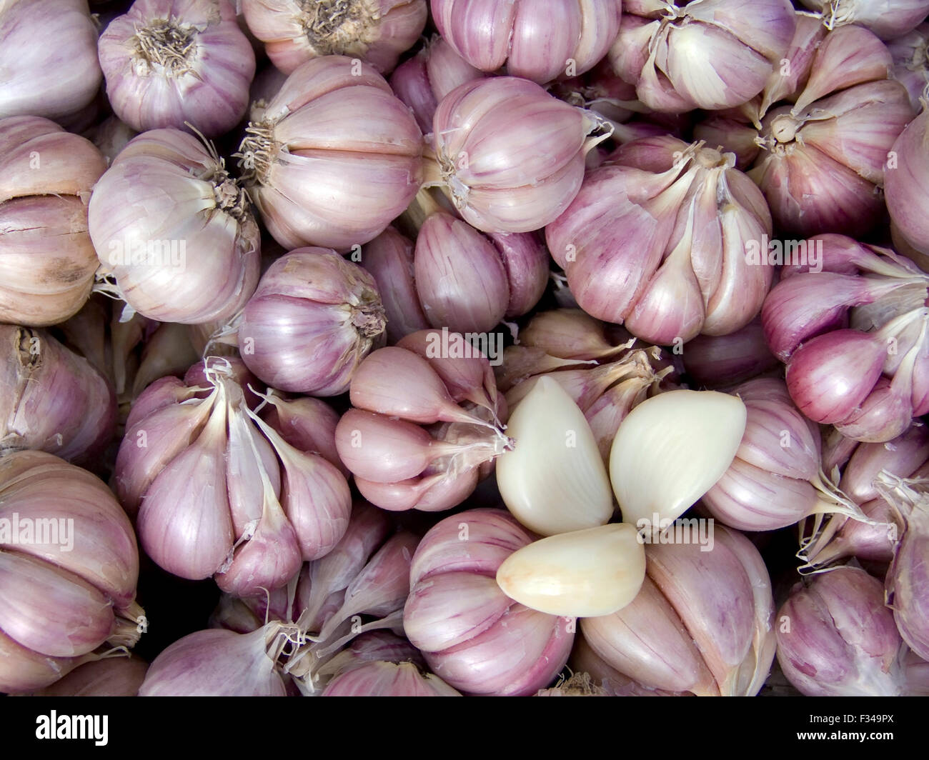 Agricultural background, a pile of beautiful garlic Stock Photo - Alamy