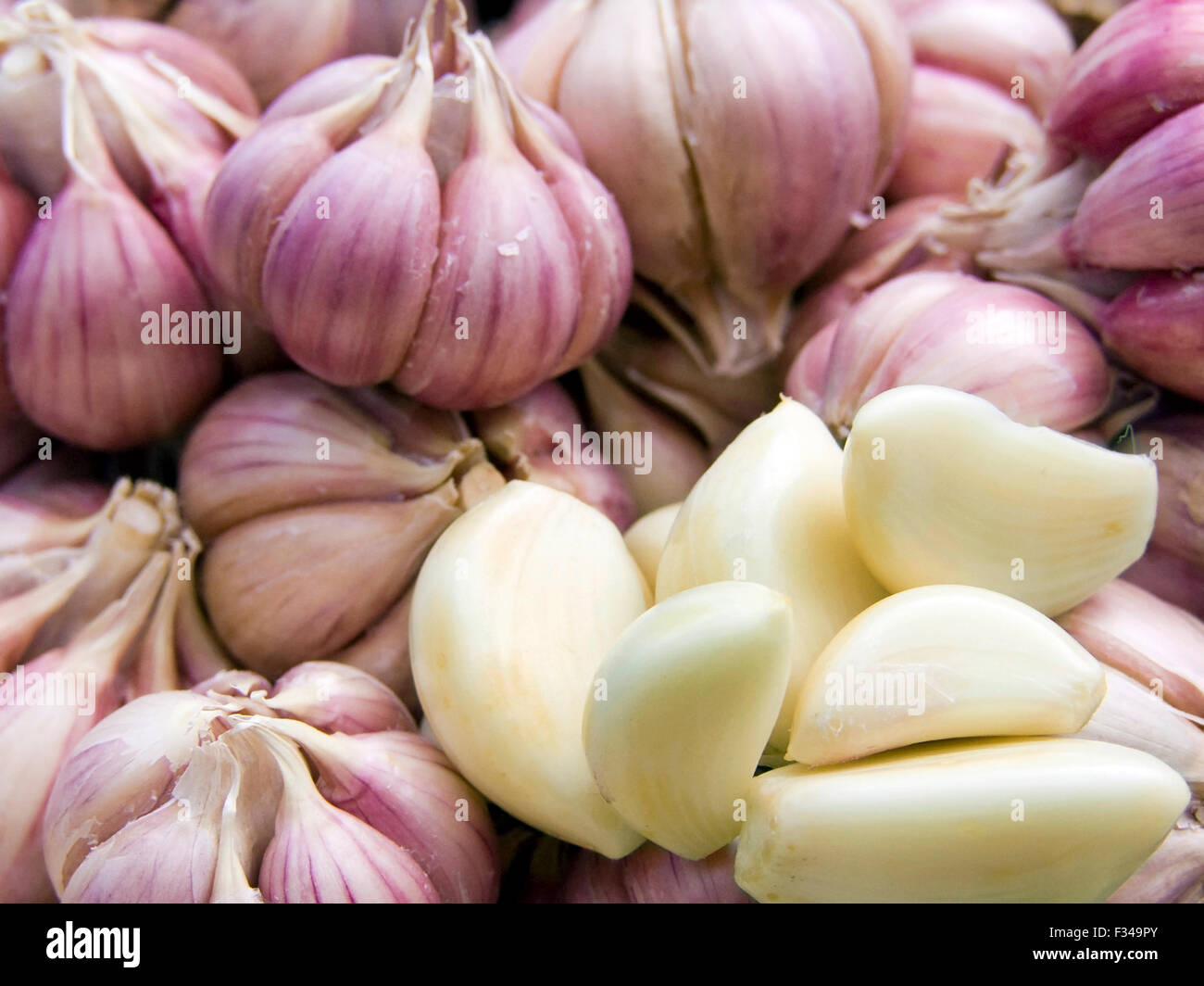 Agricultural background, a pile of beautiful garlic Stock Photo - Alamy
