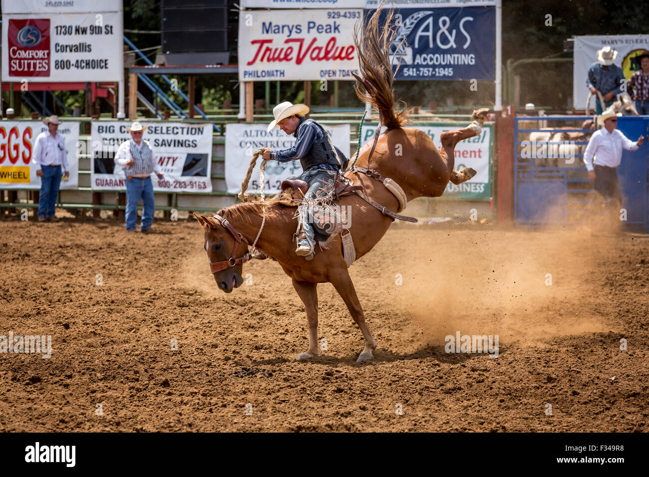 Saddle bronc riding hi-res stock photography and images - Alamy