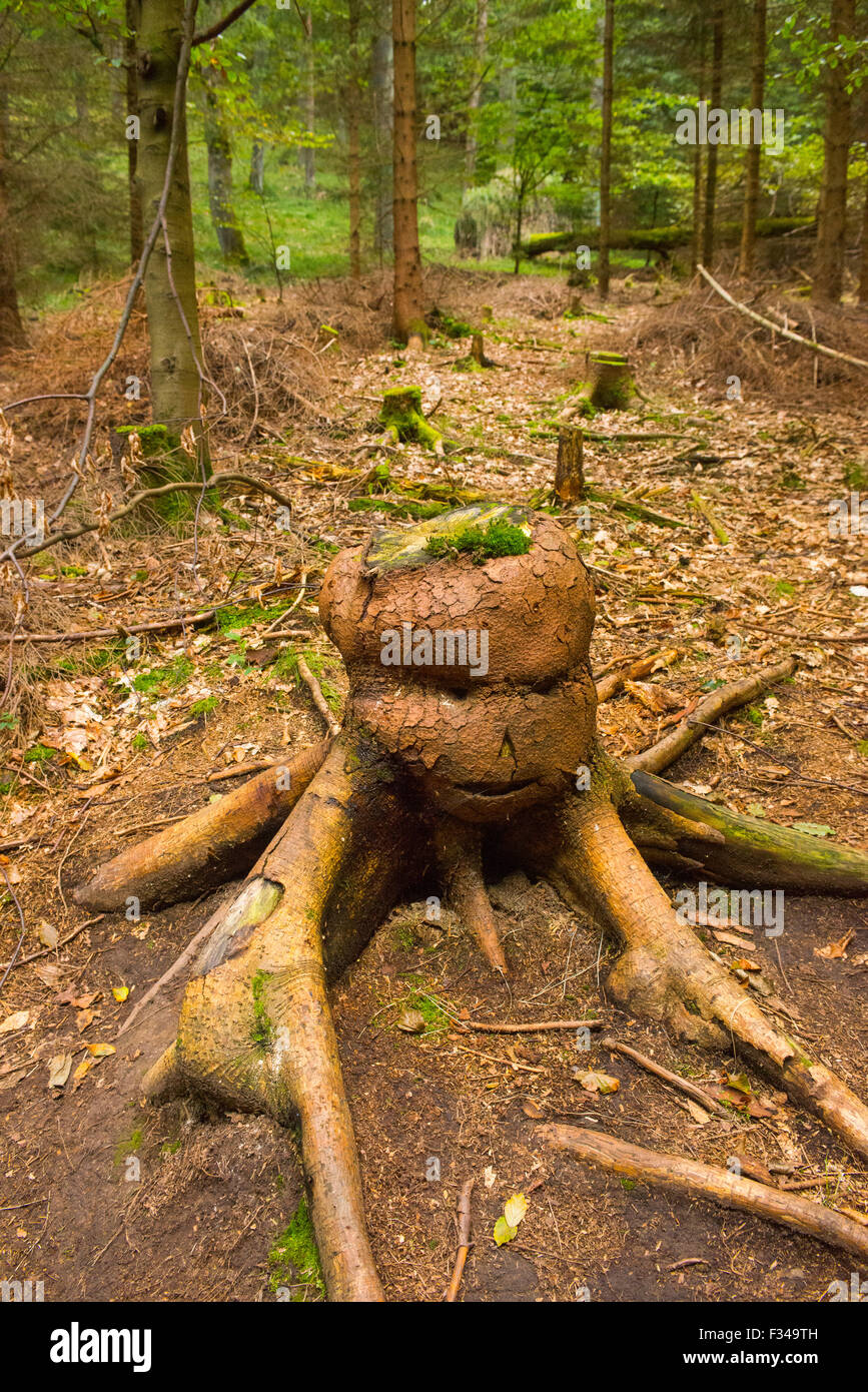 Monster creature made from tree stump in the forest Stock Photo - Alamy