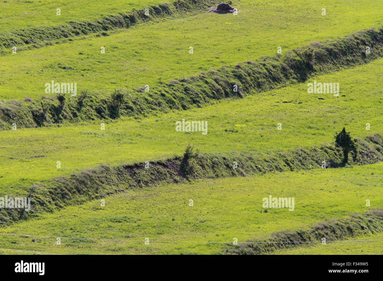 textural green fields with human made terraces Stock Photo - Alamy