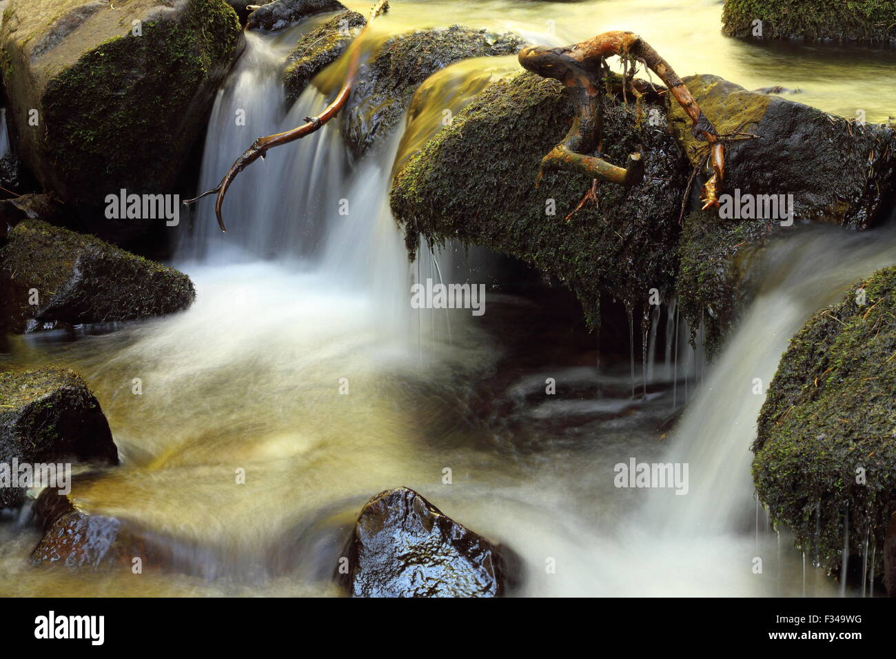Cascades on rocky stream hi-res stock photography and images - Alamy