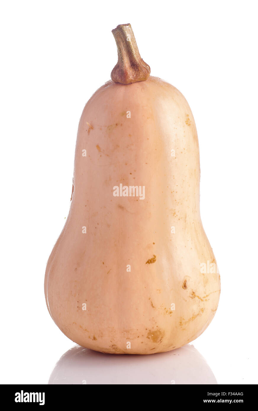 Organic Butternut Squash isolated on white background Stock Photo - Alamy