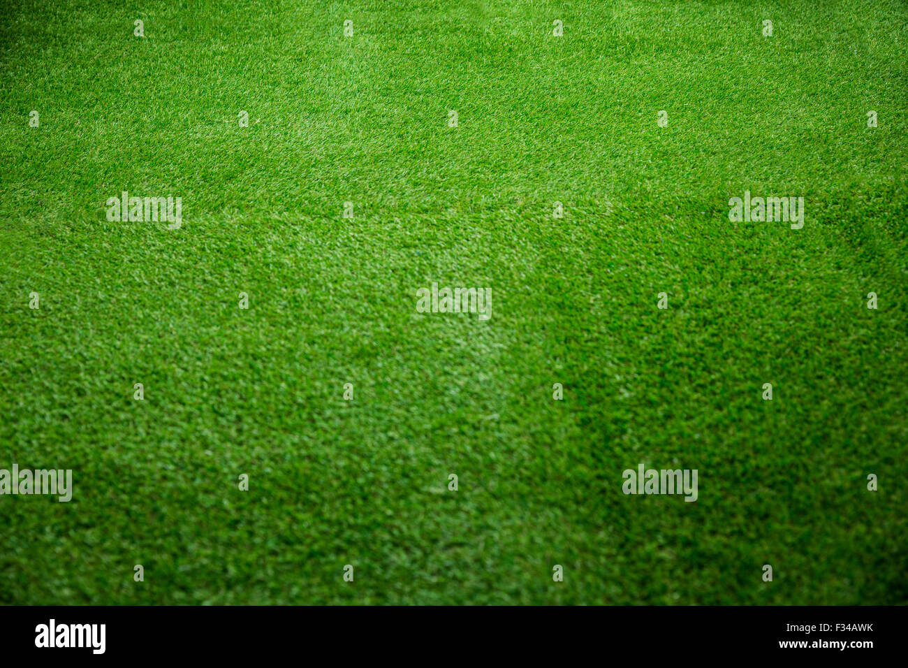 Close up view of turf Stock Photo - Alamy