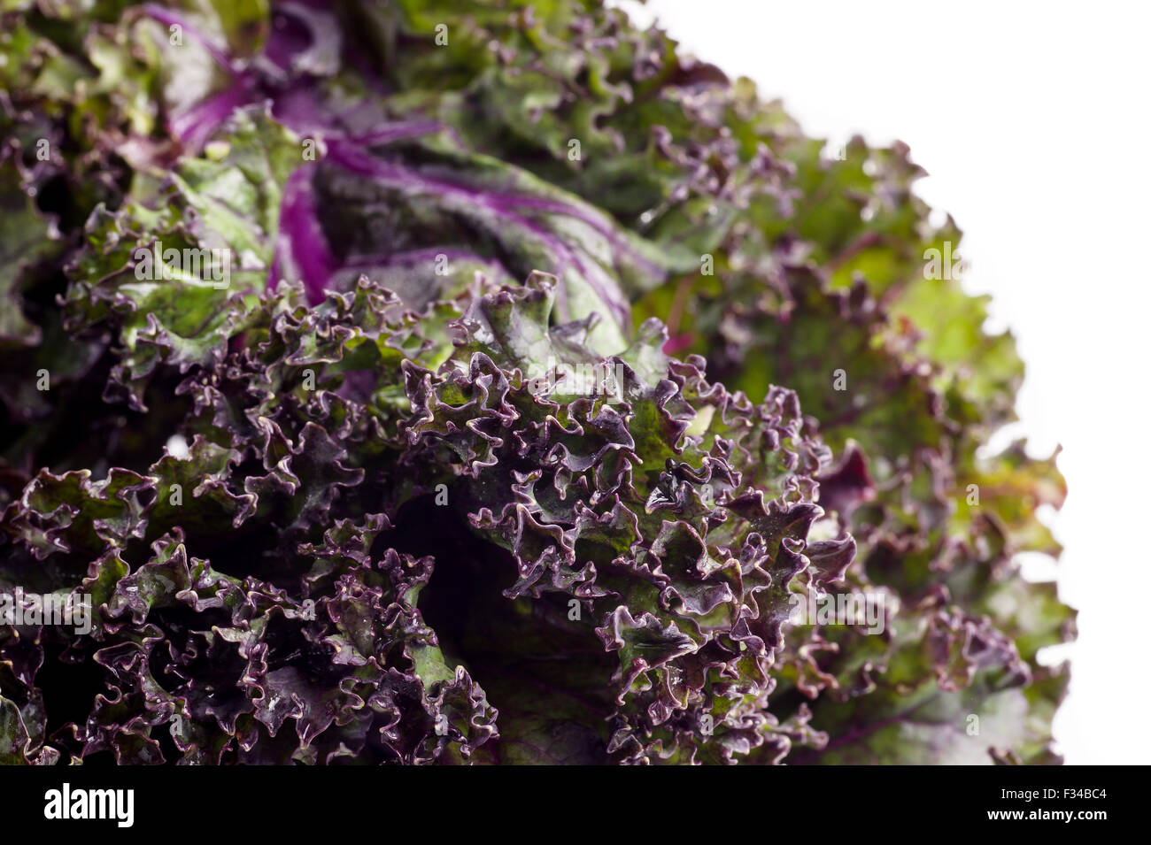 Bunch of Organic Red kale, close up Stock Photo - Alamy