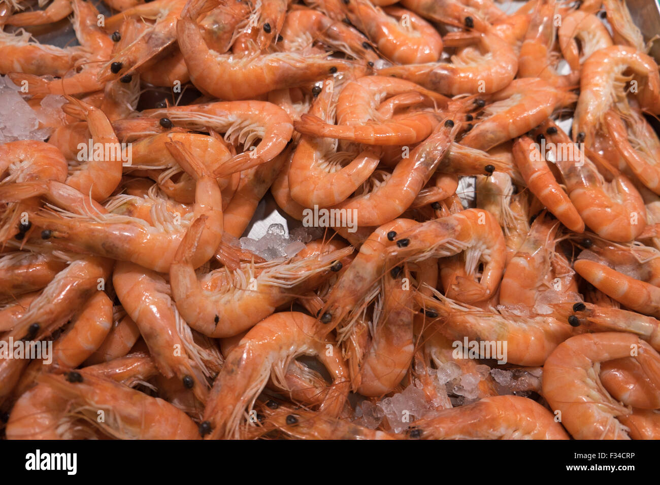 Cold water prawns hi-res stock photography and images - Alamy