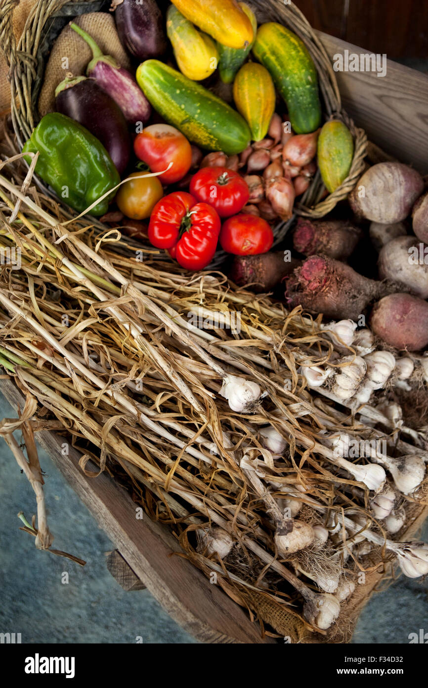 Vegetable and garlic in a wheelbarrow Stock Photo - Alamy