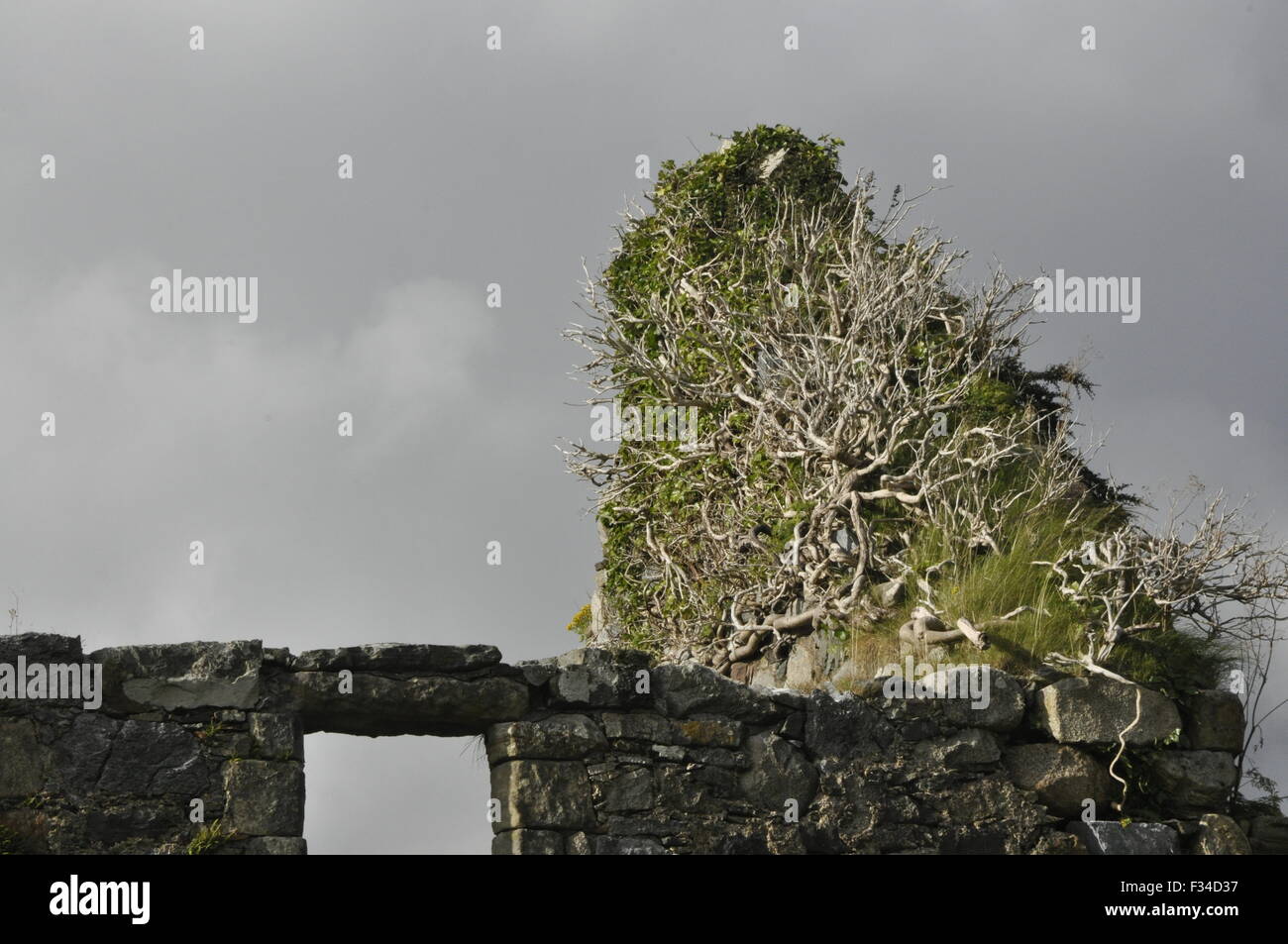 Scottish ruined church hi-res stock photography and images - Alamy