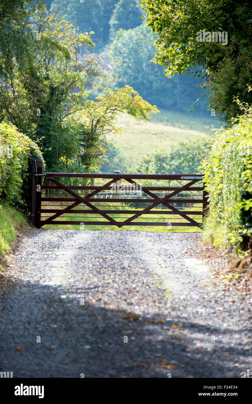 A gate in the countryside Stock Photo - Alamy