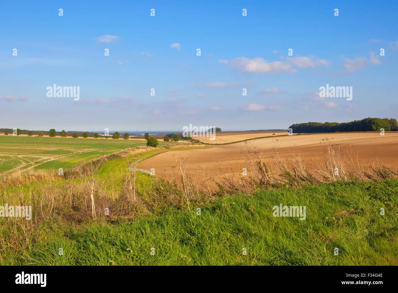 The scenic patchwork landscape of the agricultural fields of the ...