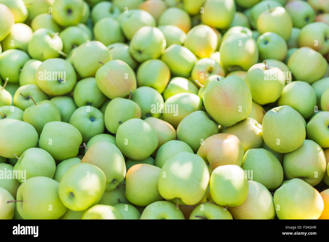 Green apples (Golden Delicious Stock Photo - Alamy