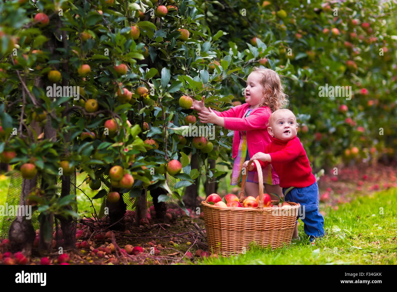 Boy with a basket of fruits hi-res stock photography and images - Alamy