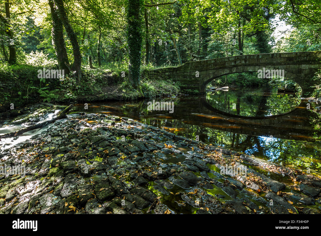Bridge over the River Rivelin near Sheffield Stock Photo - Alamy