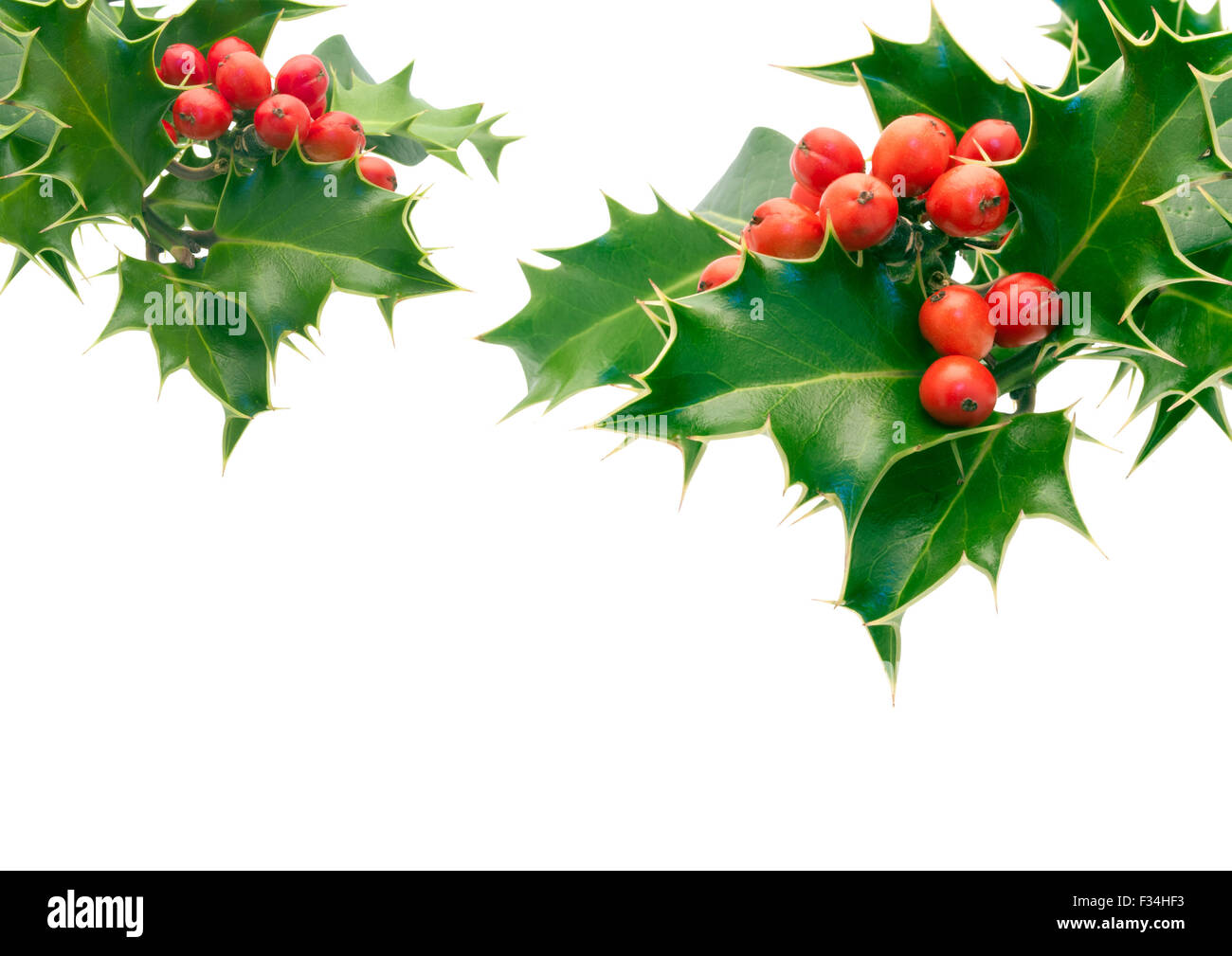 Holly sprigs hi-res stock photography and images - Alamy