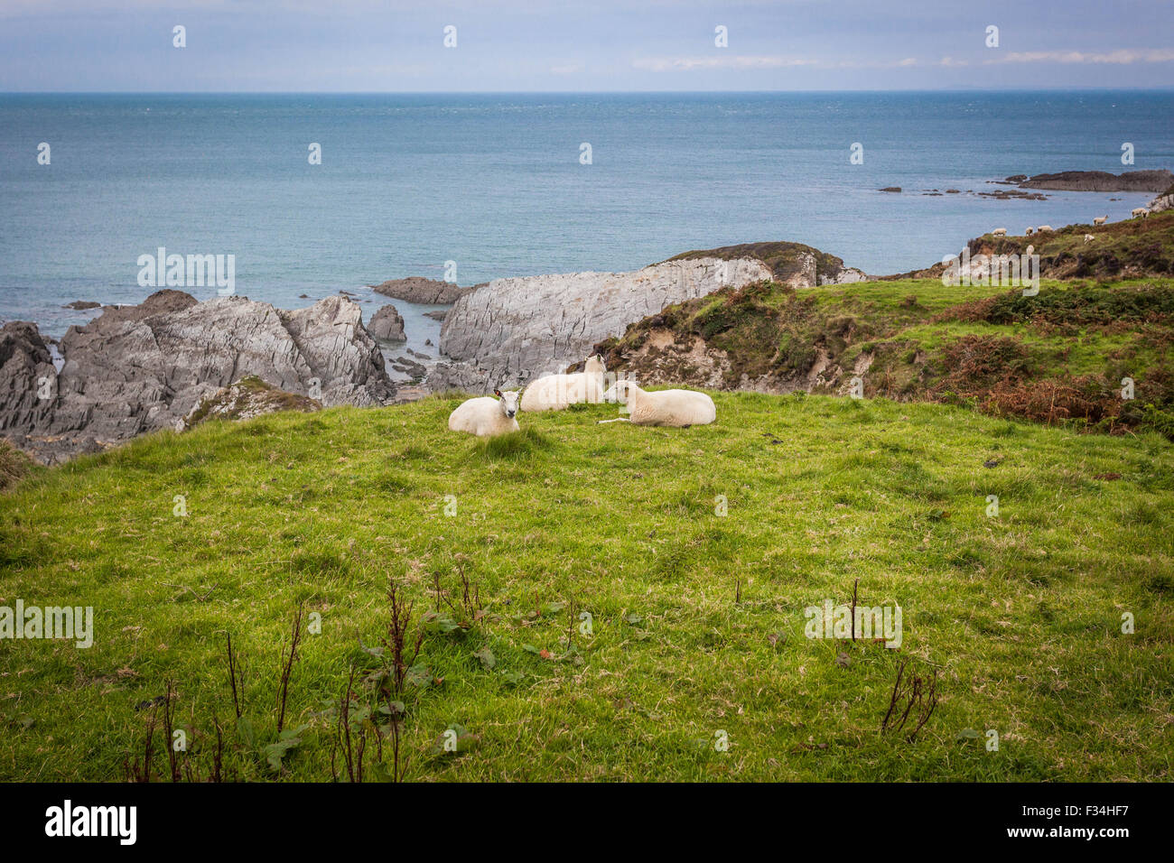 Bull point north devon devon hi-res stock photography and images - Alamy