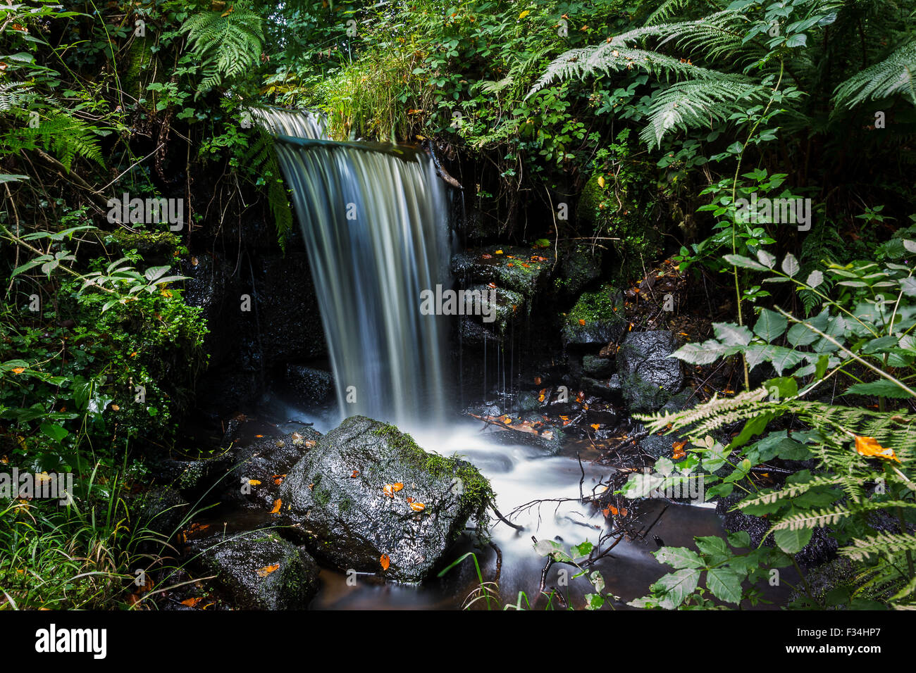 Waterfall seen along the Rivelin Valley Nature Trail near Sheffield ...