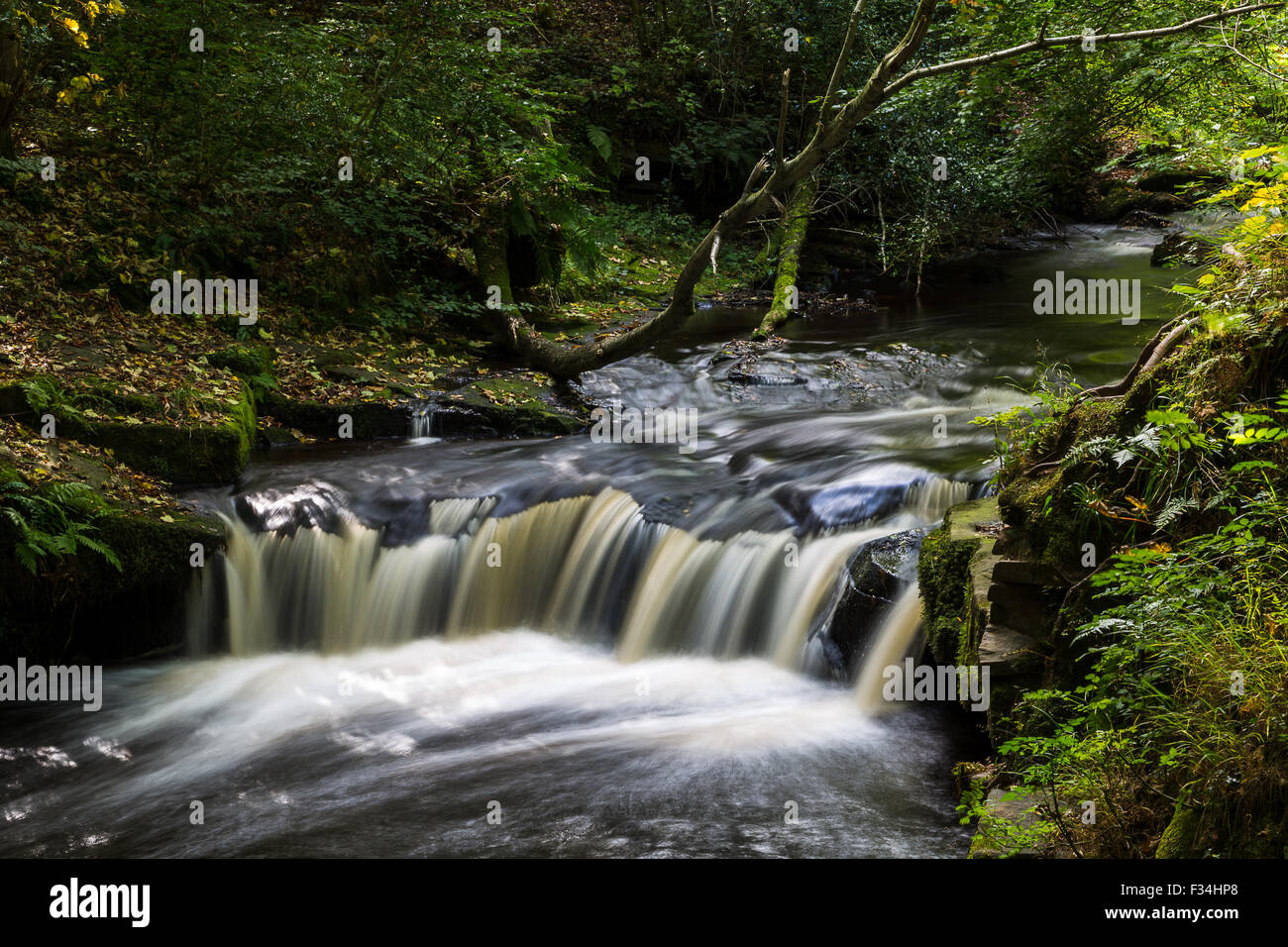 Cascades of water seen along the Rivelin Valley Nature Trail near ...