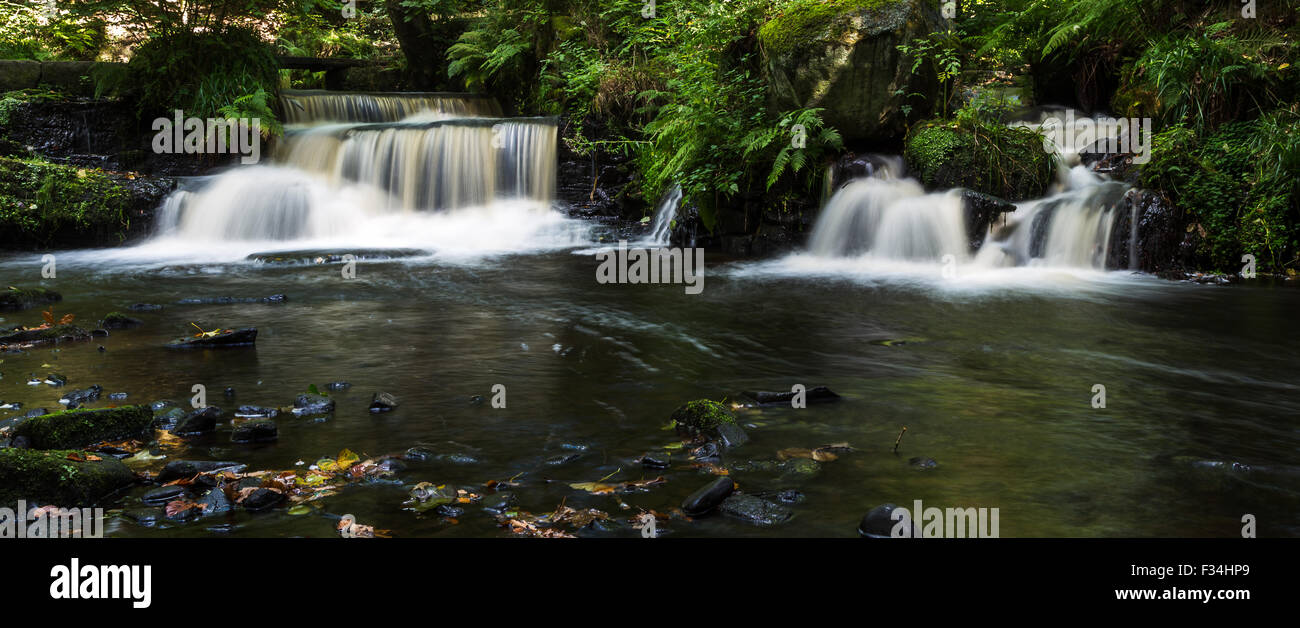 Panorama of two waterfalls seen along the Rivelin Valley Nature Trail ...