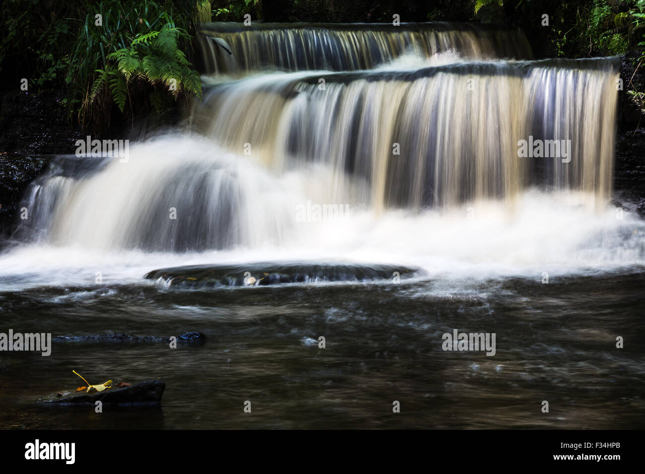 Waterfall seen along the Rivelin Valley Nature Trail near Sheffield ...