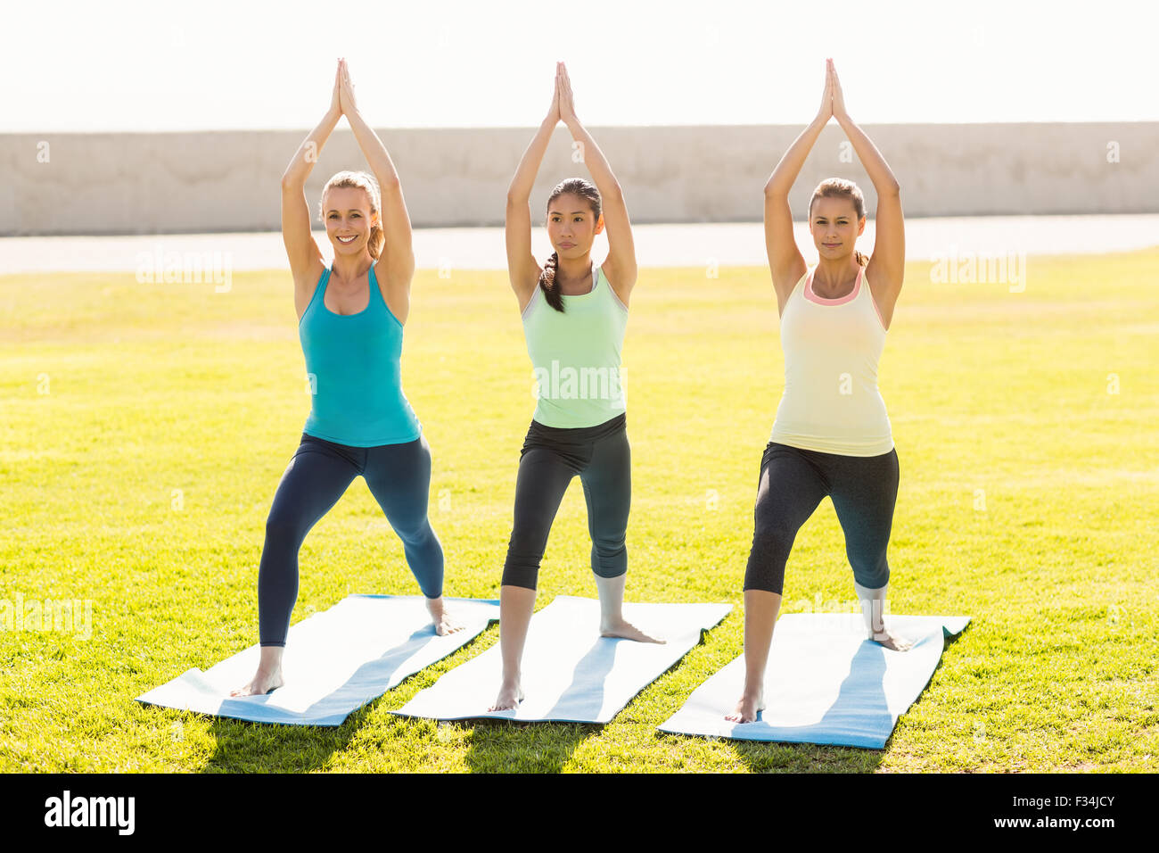 Attractive women doing exercise hi-res stock photography and images - Alamy