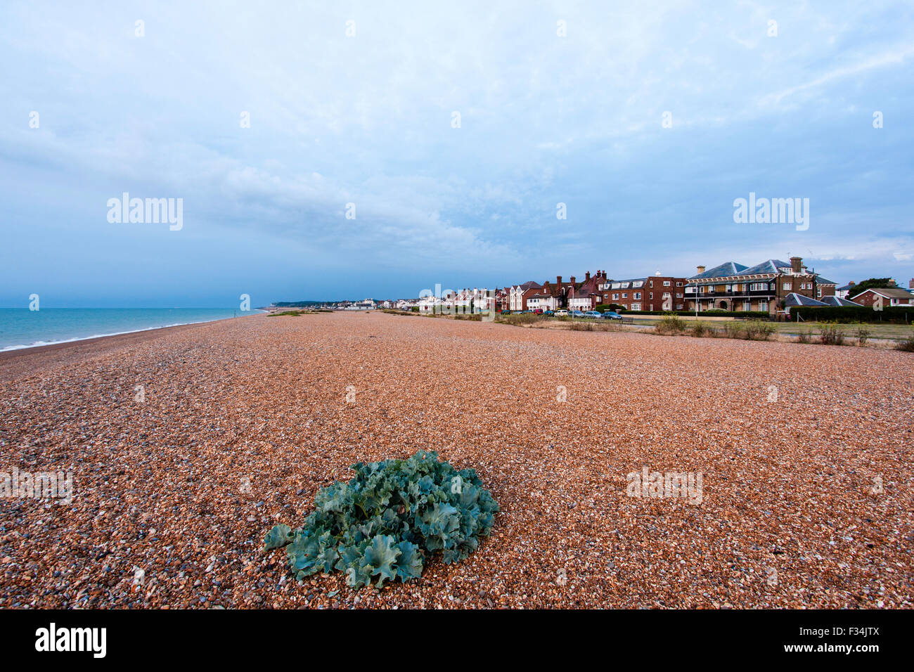 Dawn daybreak on the shingle beach at Deal resort town on the Kent ...