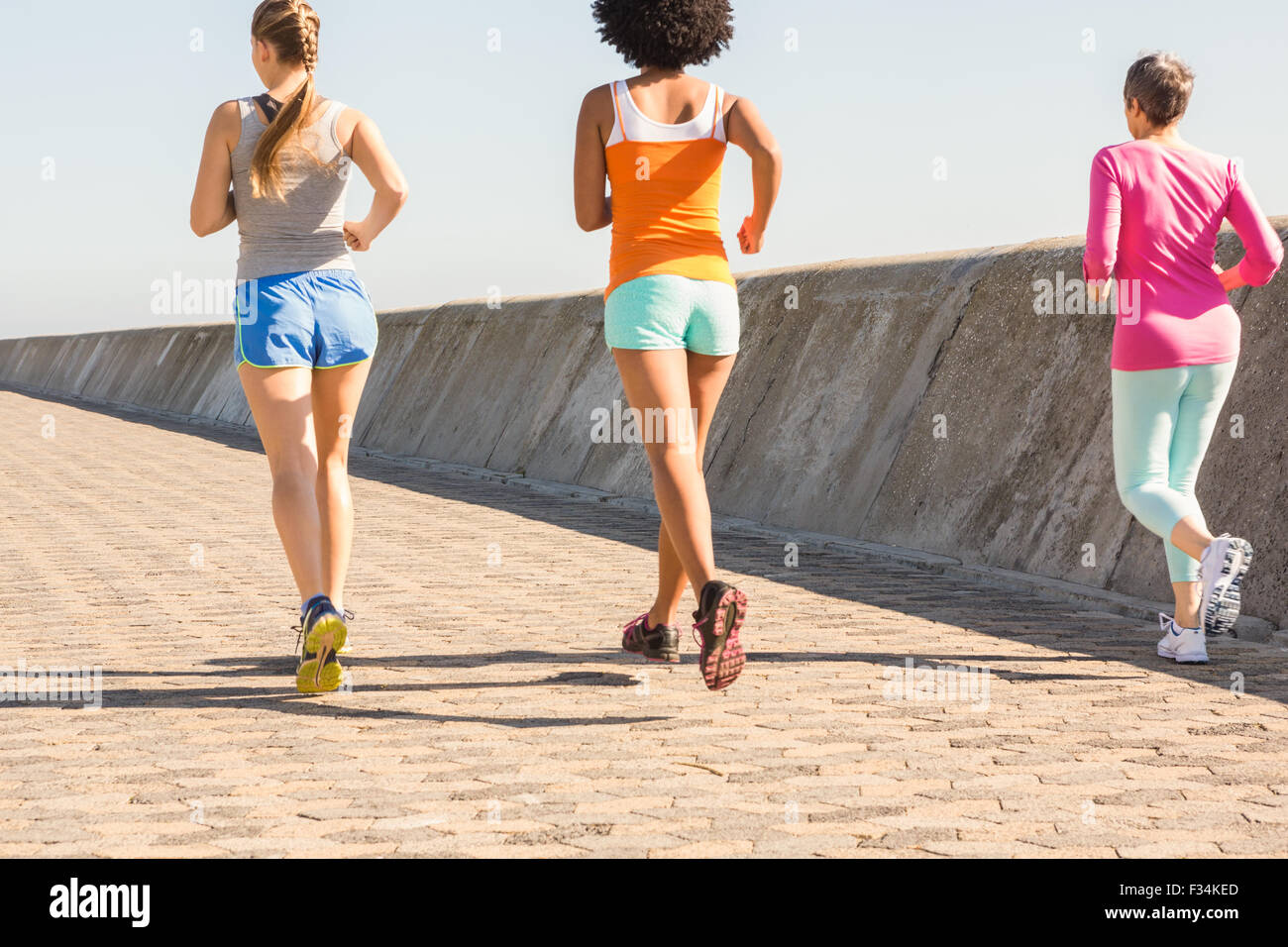 Rear view of sporty women jogging together Stock Photo - Alamy