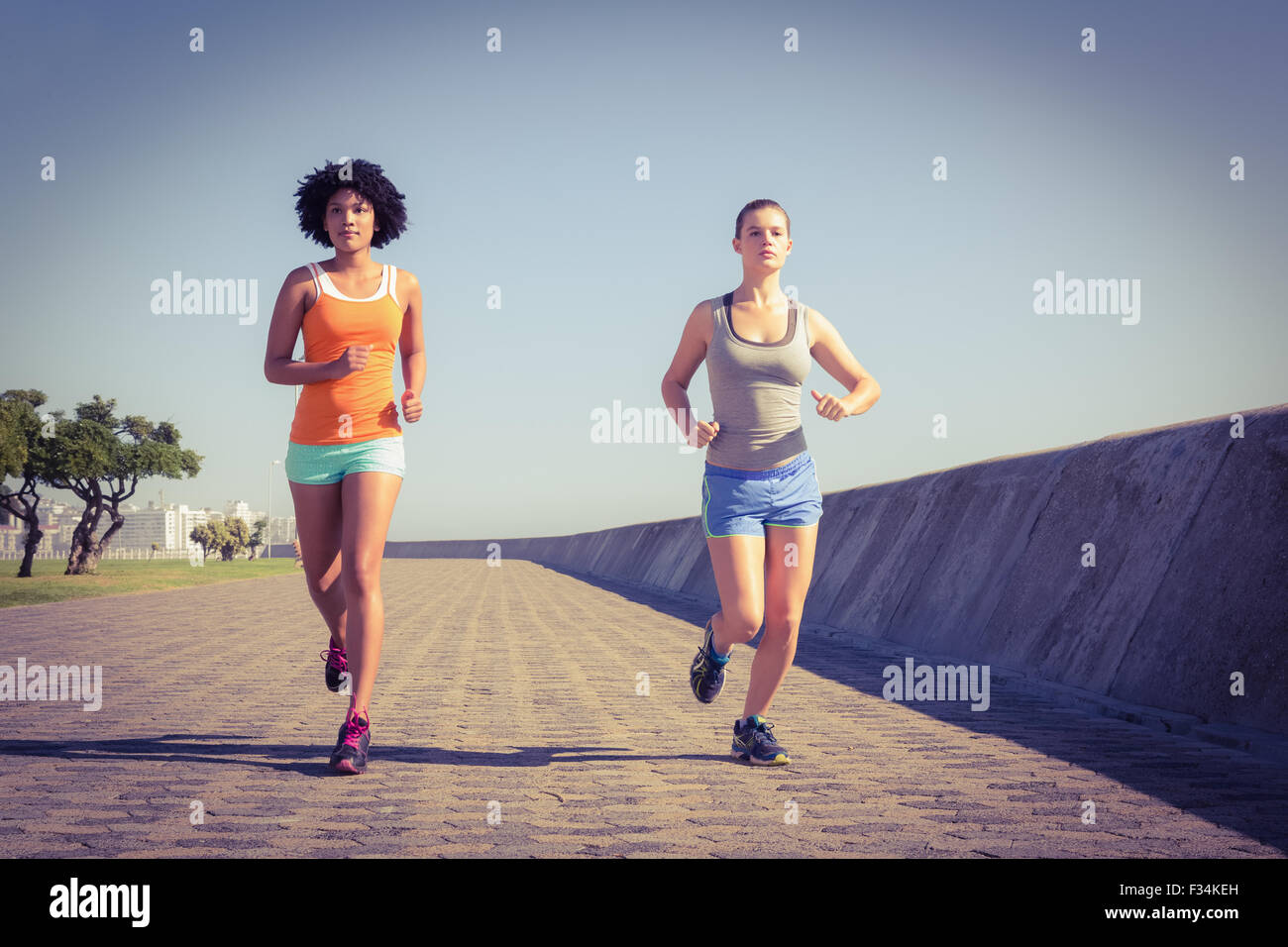 Two young women jogging together Stock Photo - Alamy