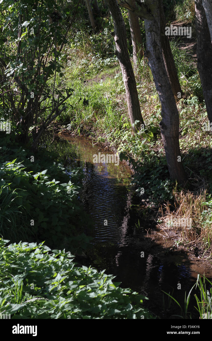A small stream flowing through the National Park Skjoldungernes Land ...