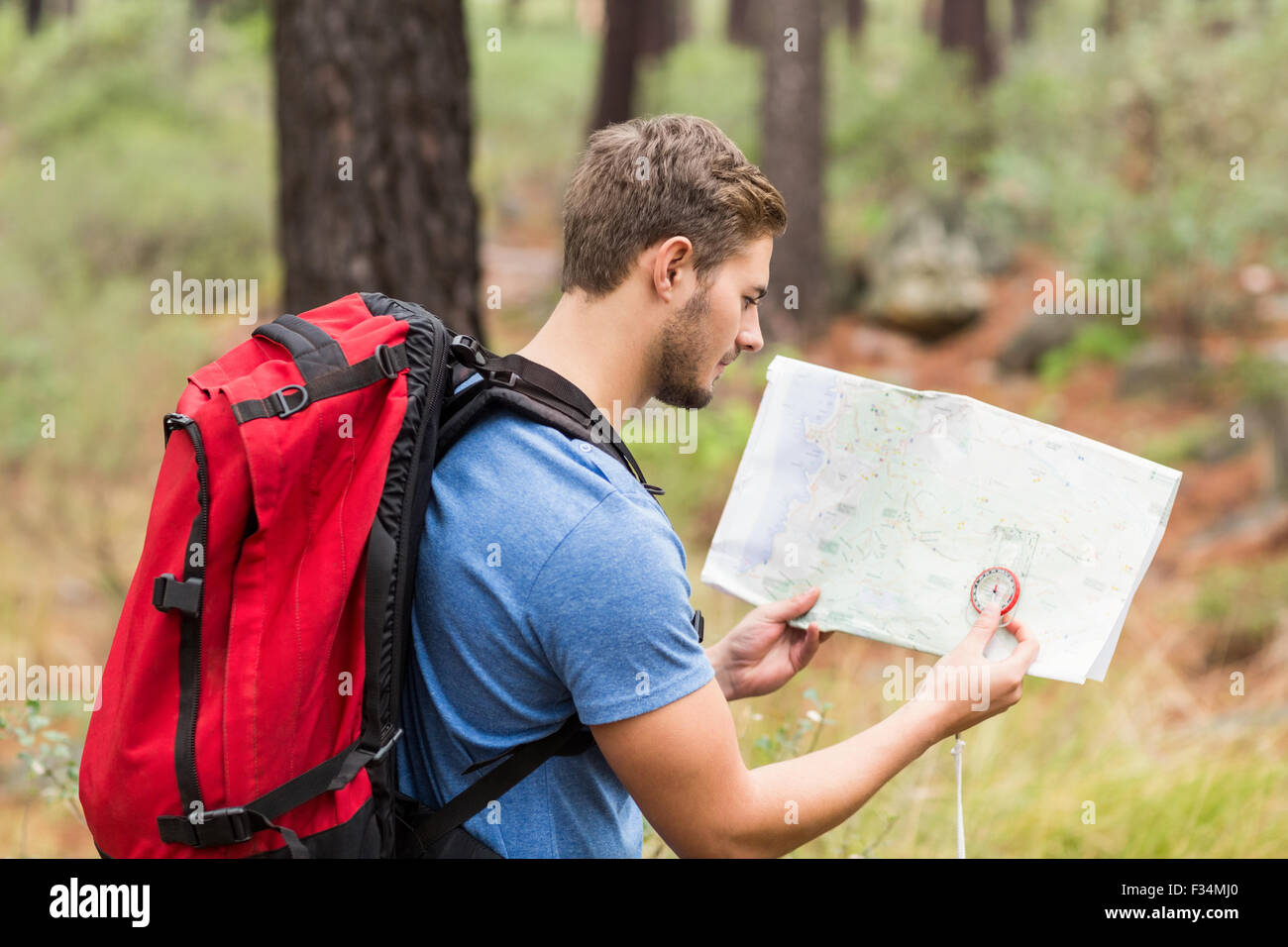 Young handsome hiker using map Stock Photo - Alamy