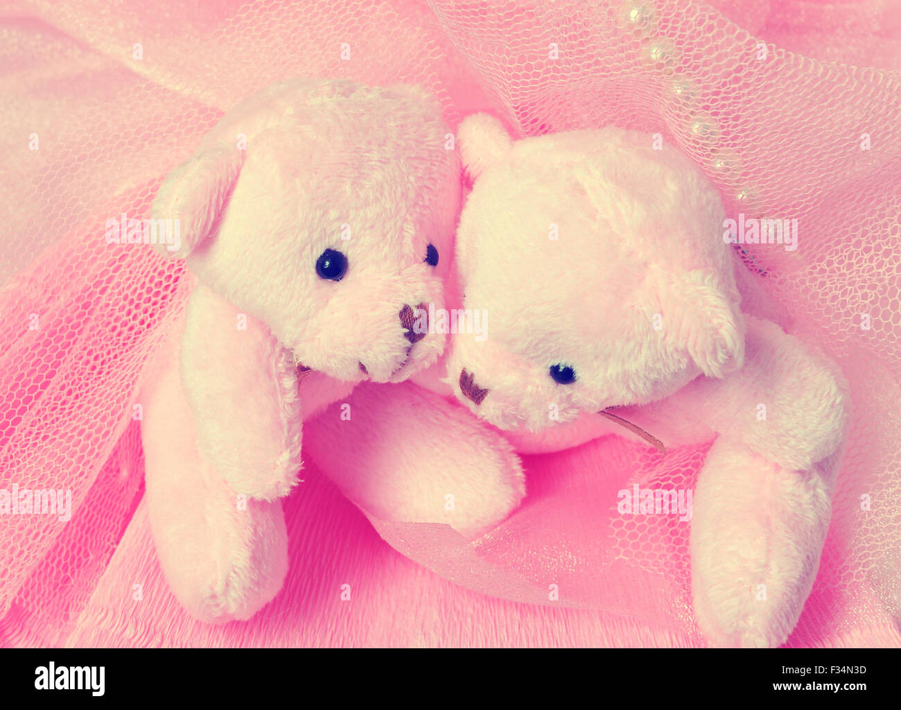 Pink teddy bear hi-res stock photography and images - Alamy