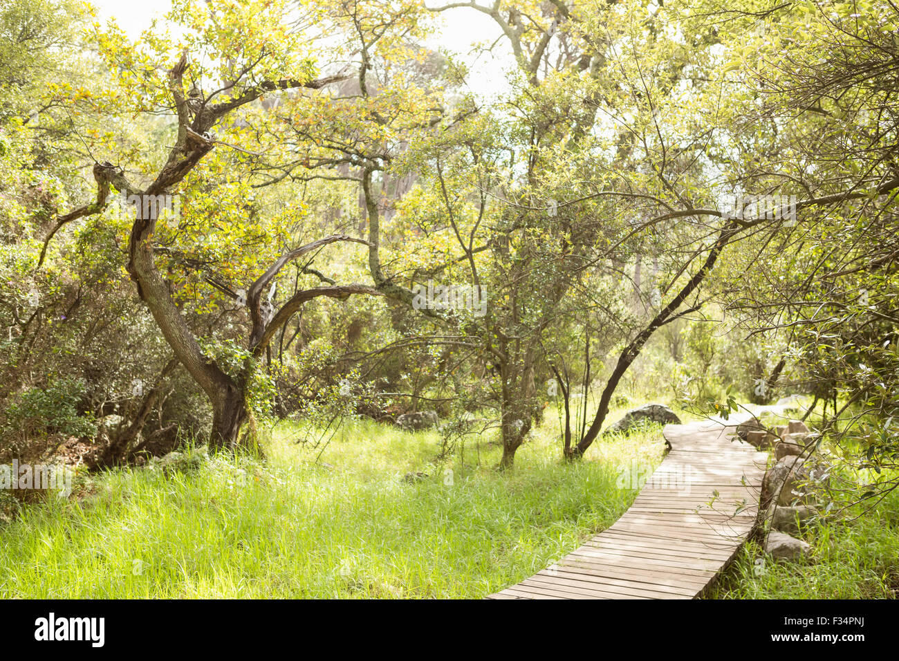 Wooden trail across countryside Stock Photo - Alamy