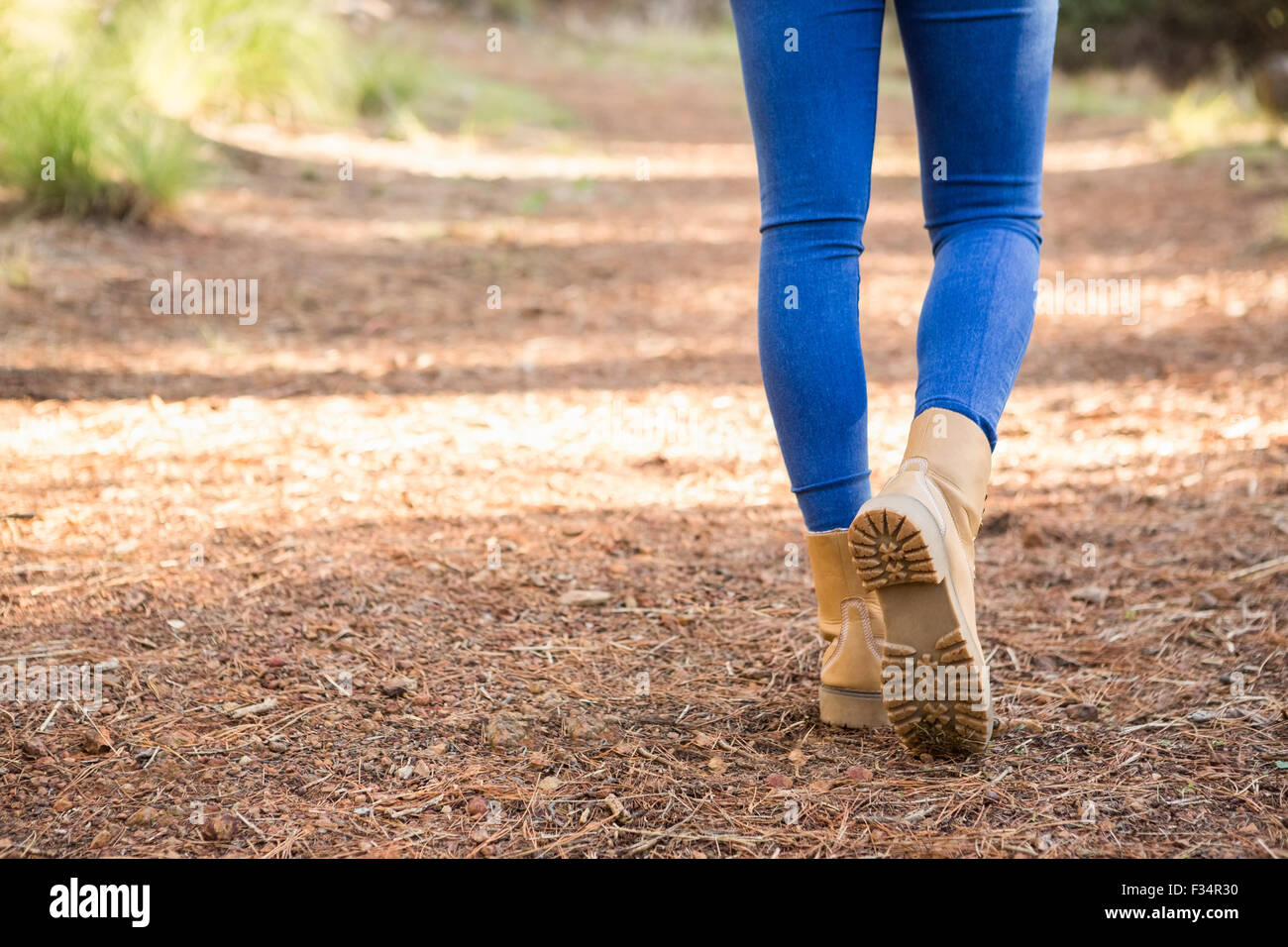 Path close view hi-res stock photography and images - Alamy