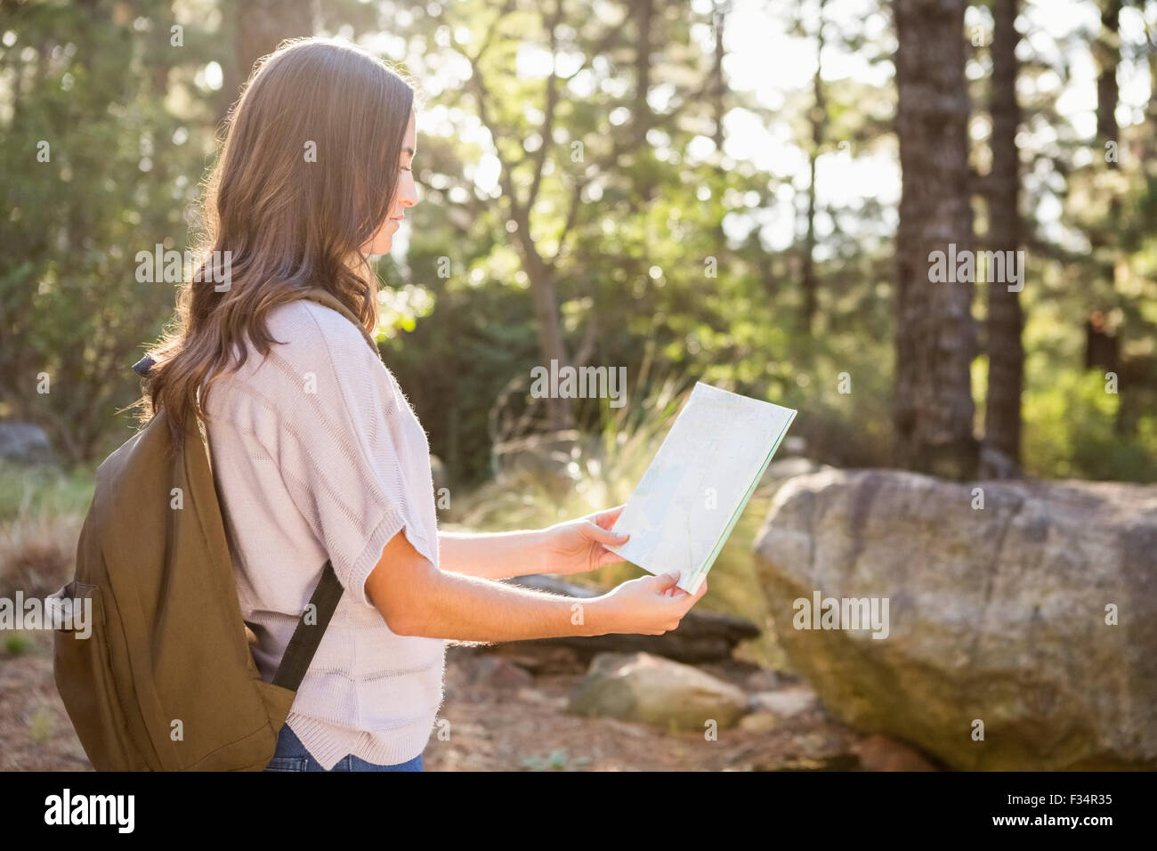 Hiker reading map hi-res stock photography and images - Alamy