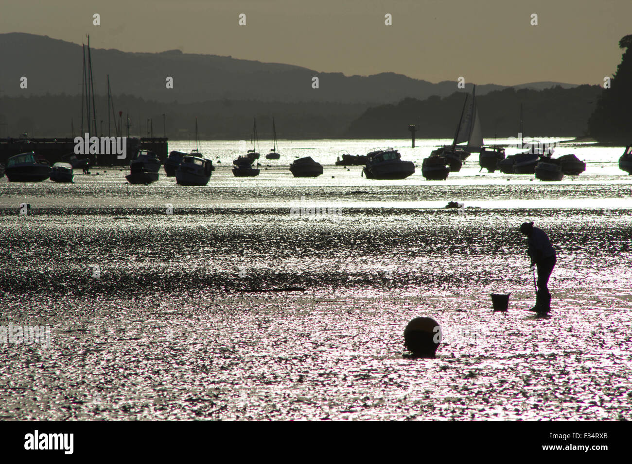 Rag worms hi-res stock photography and images - Alamy