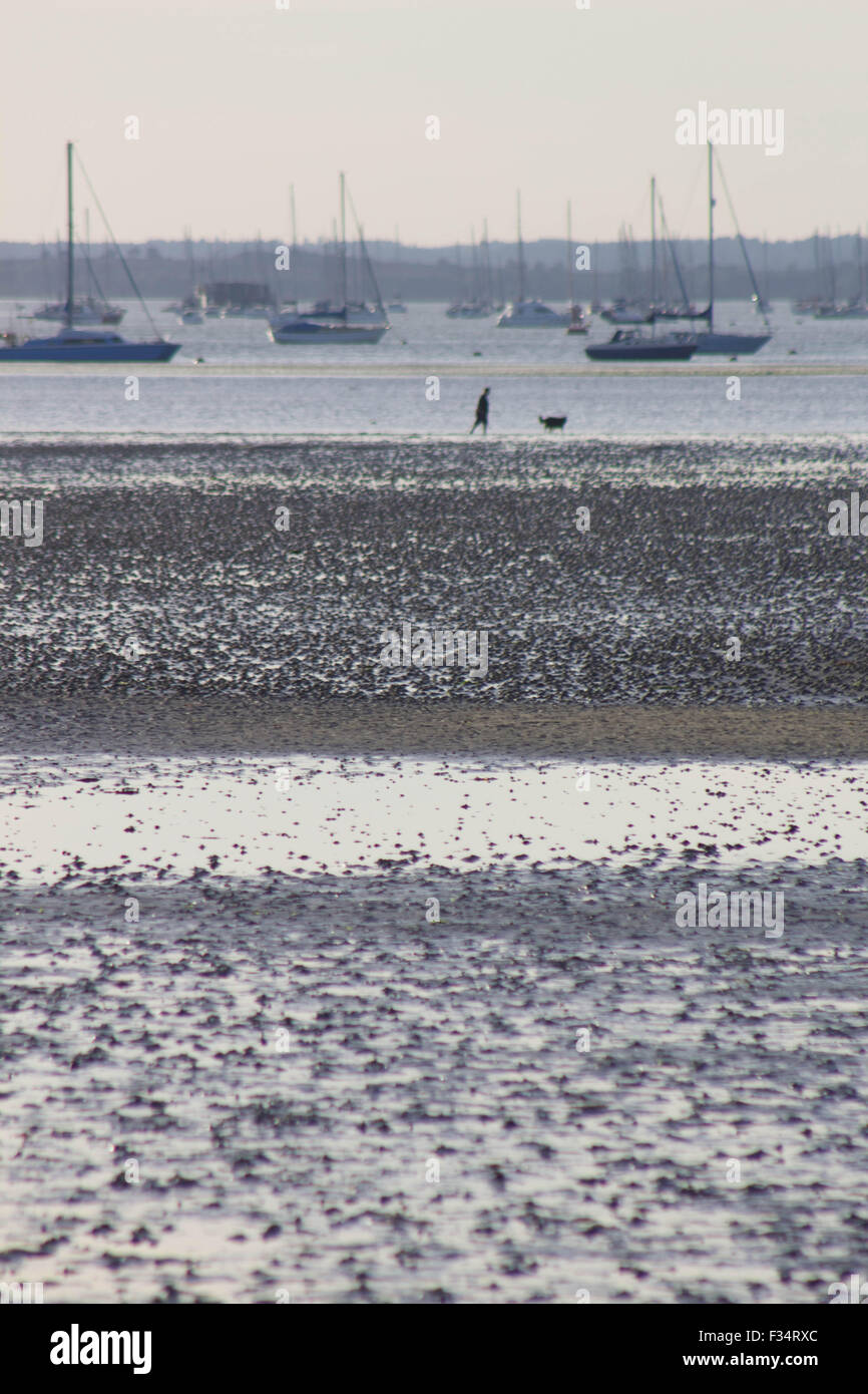 Poole, UK. 29th September 2015. Keen anglers wade the shores of Poole ...