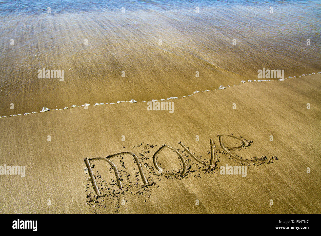 Sea shell with the word passion hi-res stock photography and images - Alamy