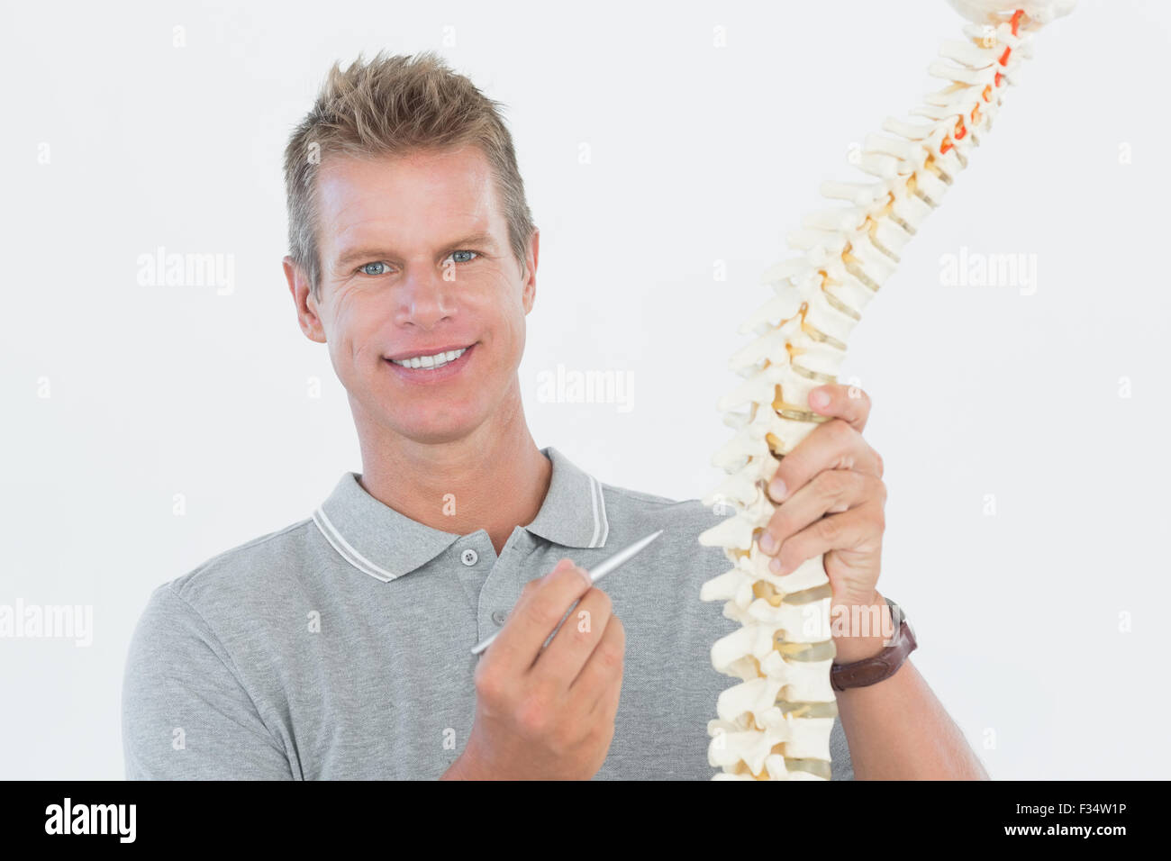 Smiling doctor showing anatomical spine Stock Photo - Alamy