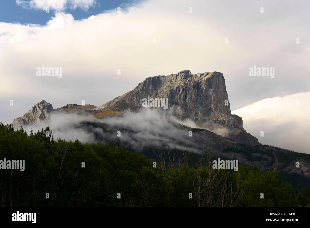 Roche miette hi-res stock photography and images - Alamy