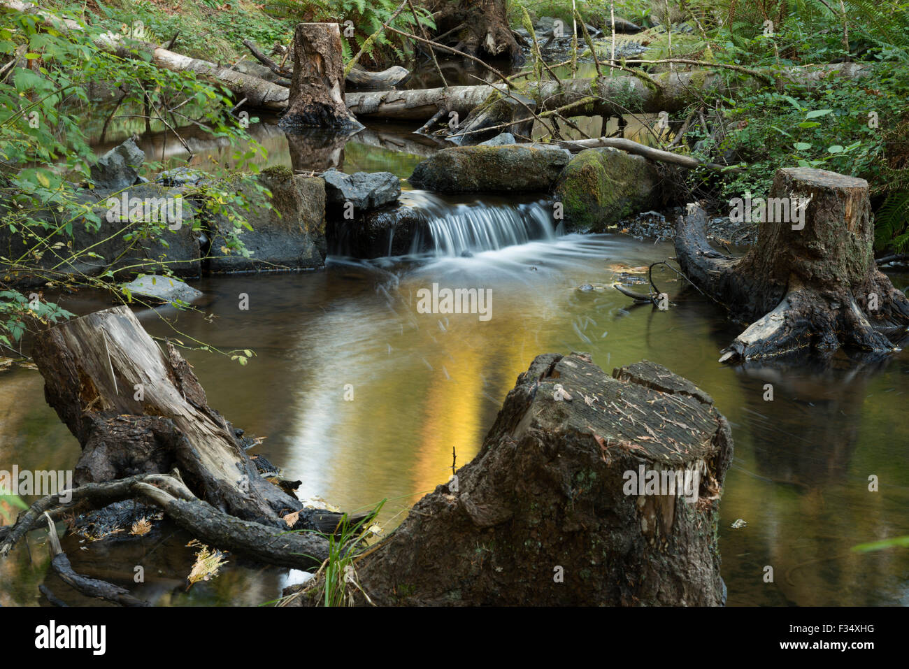 A small waterfall Stock Photo - Alamy