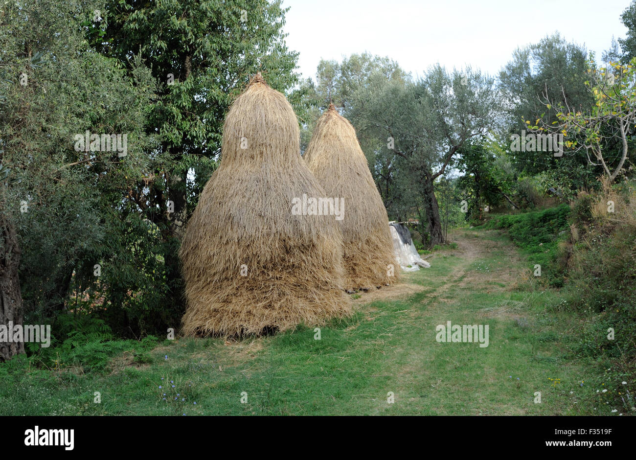 Conical haystacks hi-res stock photography and images - Alamy