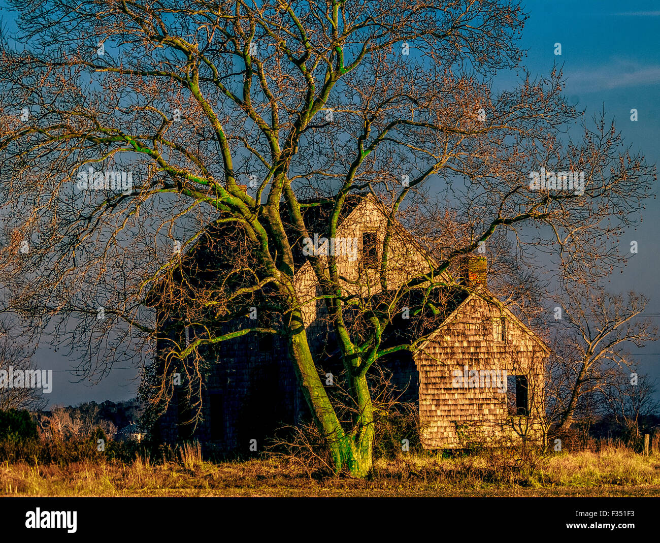 Overgrown Farmhouse Berlin, Maryland Stock Photo - Alamy