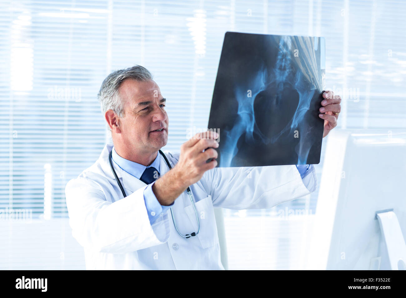 Reviewing doctor in lab hi-res stock photography and images - Alamy