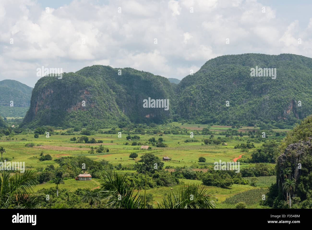 Vinales Valley, Cuba Stock Photo - Alamy
