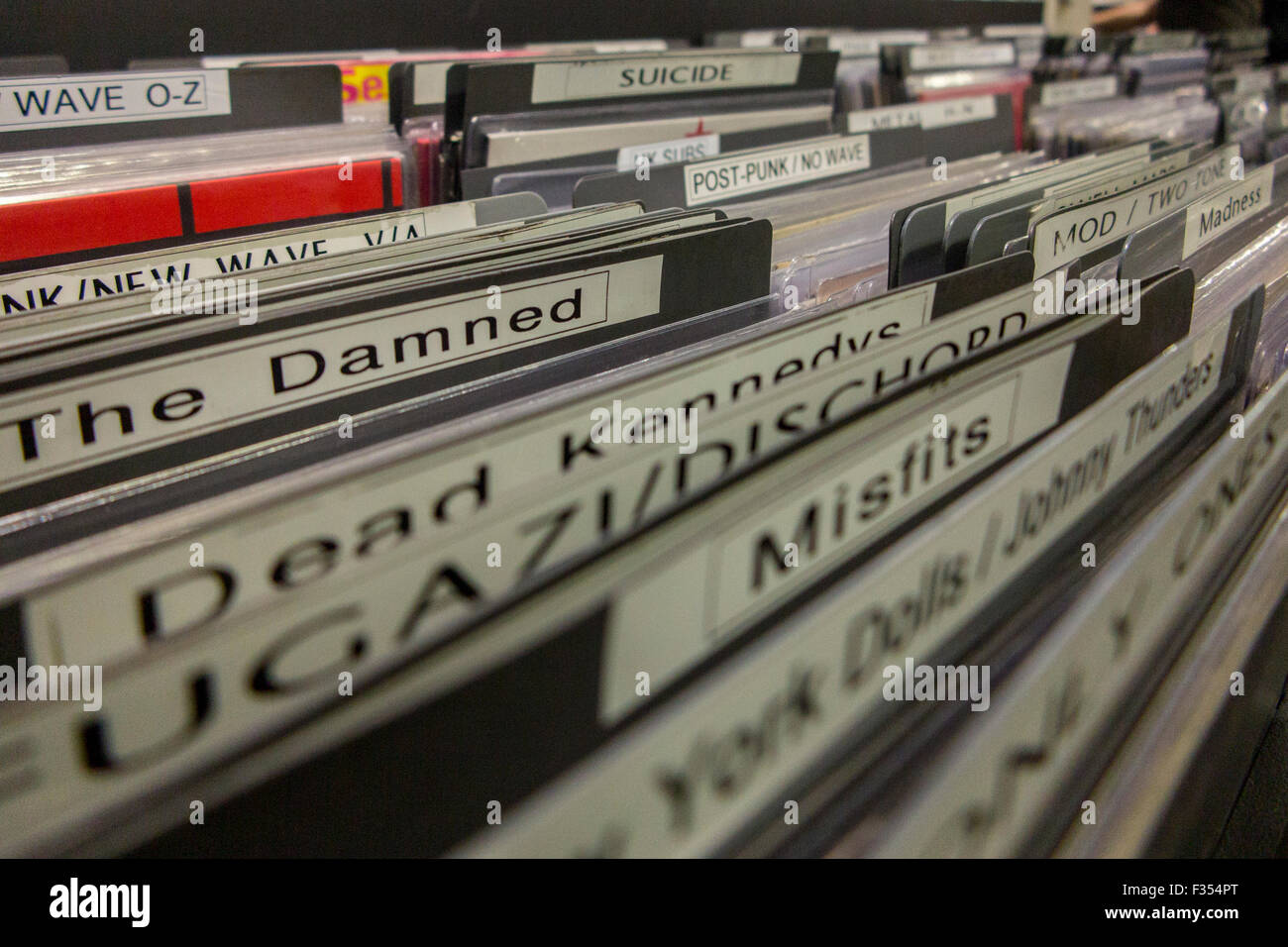 vinyl and CDs in a record shop Stock Photo - Alamy