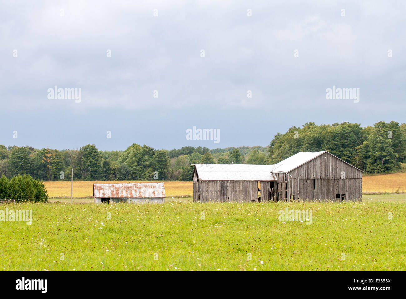 cloudy day at a farm Stock Photo - Alamy